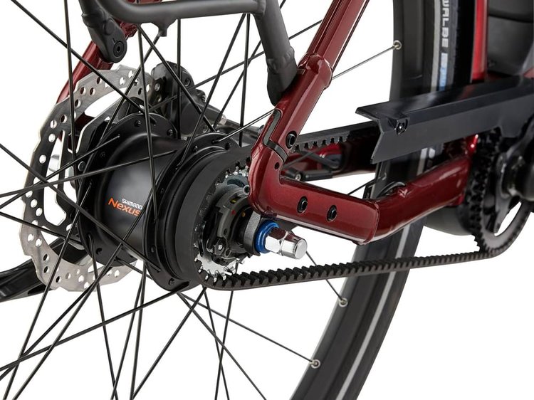 GIANT EXPRESSION E+ 0 2024 - Review, Test & Price