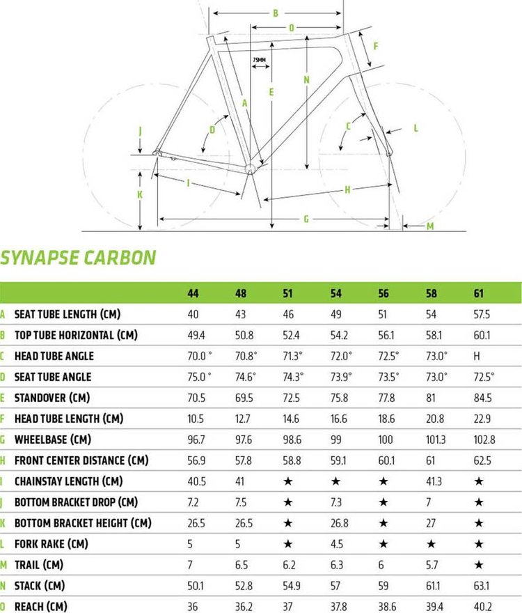 CANNONDALE SYNAPSE CARBON TIAGRA - Review, Test & Price