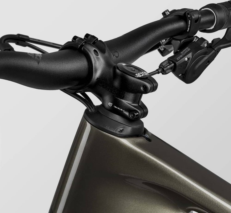 CANYON NEURON CF 7 2025 - Test, Erfahrungen & Preis