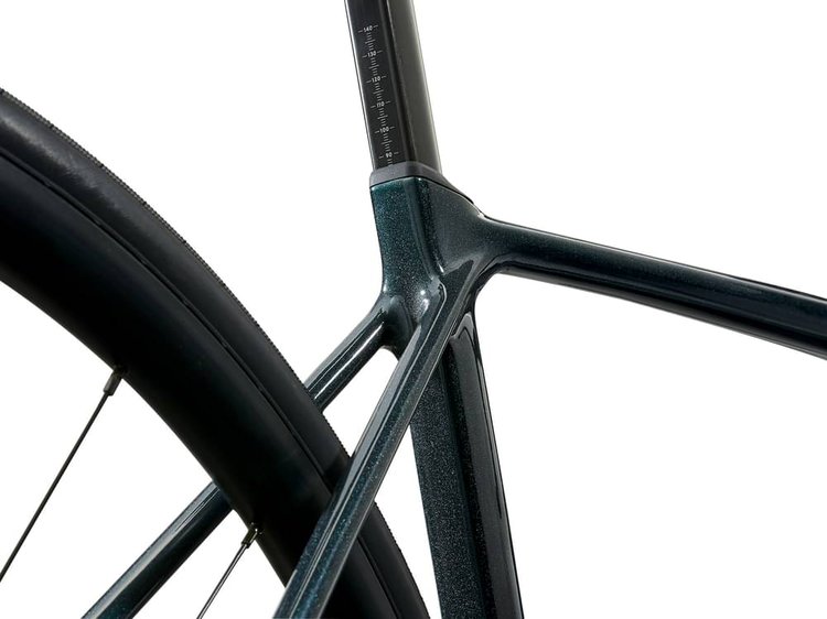 GIANT TCR ADVANCED 1 KOM 2025 - Test, Recensioni e Prezzo