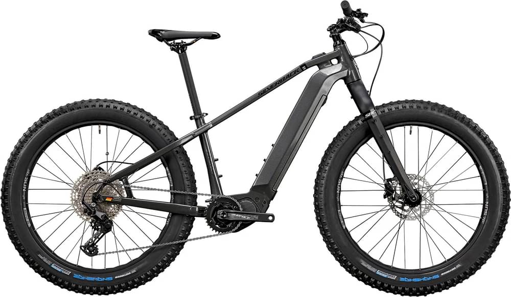 Test and review of the Electric Mountain Bike Silverback S-Electro ...