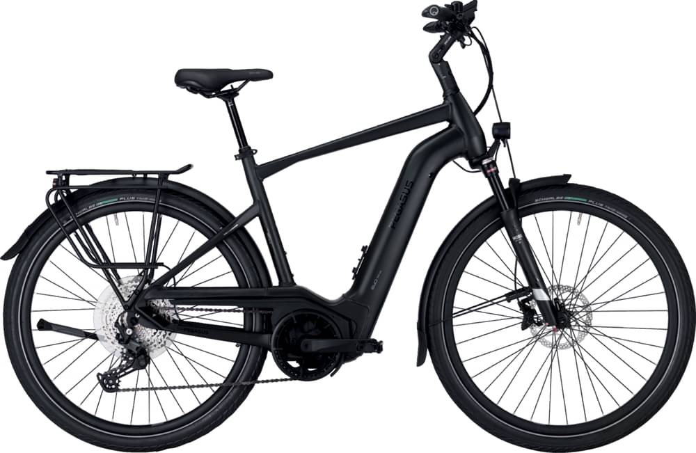 Test and review of the Electric City Bike Pegasus Strong 11 Lite ...