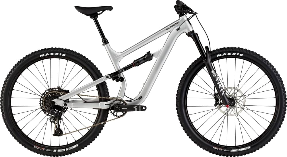 CANNONDALE HABIT WAVES - Review, Test & Price