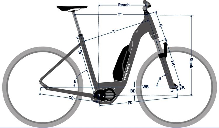 TRENGA SLE 9.2 2024 - Test, Opiniones y Precio