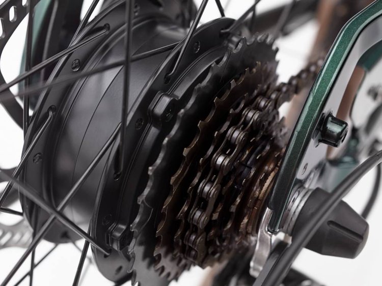 ELECTRA TOWNIE GO! 7D EQ STEP-OVER 2025 - Test, Avis et Prix