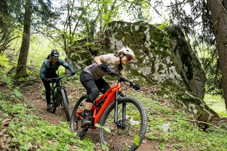 ROCKRIDER 29" FULL SUSPENSION ELECTRIC MOUNTAIN BIKE E-EXPL 520 S 2024 ...