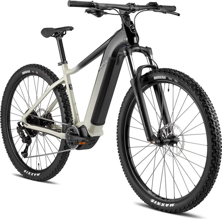 BESV TRX 1.3 2024 - Review, Specs & Price