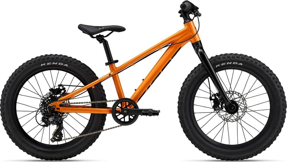 GIANT STP 20 2024 - Test, Opiniones y Precio