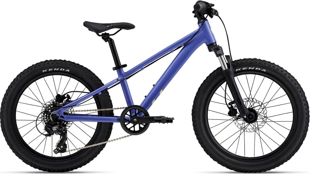 LIV STP 20 FS 2024 - Test, Opiniones y Precio