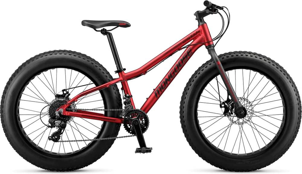 MONGOOSE ARGUS TRAIL 24 2025 - Review, Test & Price