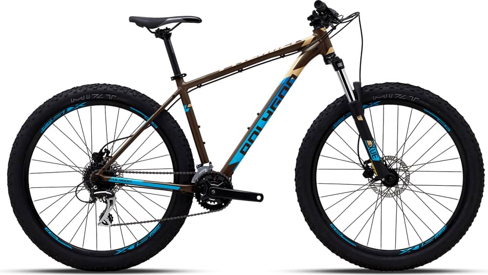 POLYGON PREMIER 4 2024 - Review, Test & Price