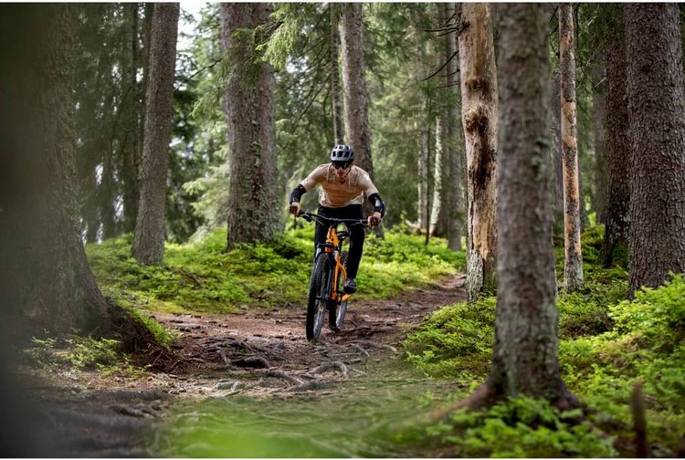 ROCKRIDER 29" HARDTAIL ELECTRIC MOUNTAIN BIKE E-EXPL 520 2023 - Review ...