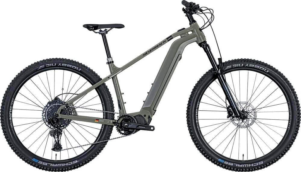SILVERBACK S-ELECTRO DIAMOND TRAIL 2024 - Review, Specs & Price