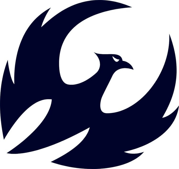 PIVOT E-VAULT TEAM GRX DI2 W/ CARBON WHEELS 2022 - Test, Recensioni e ...