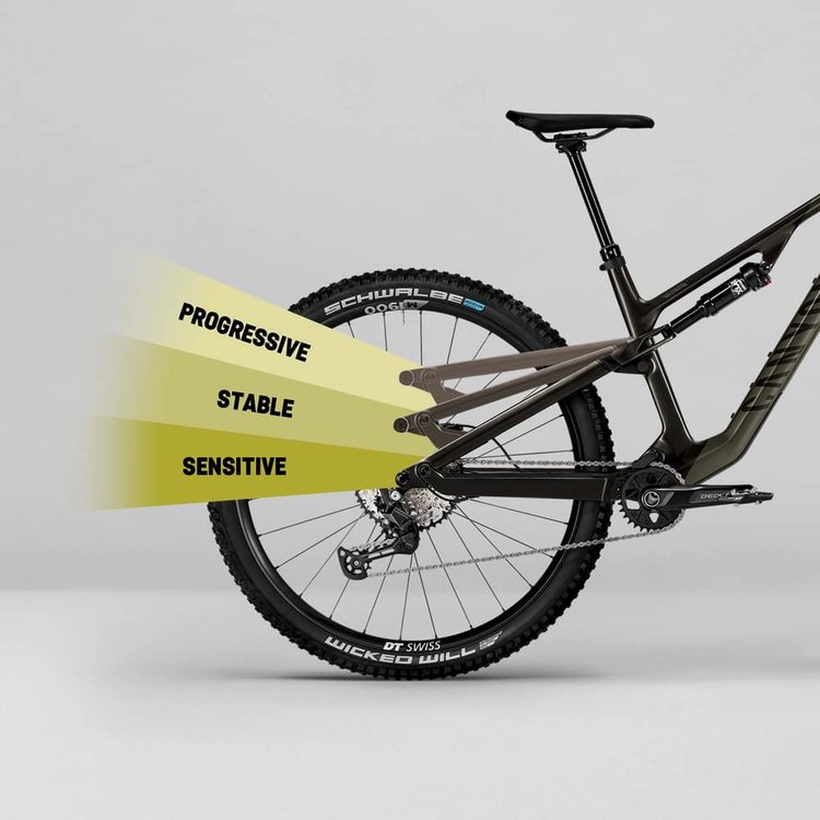 CANYON NEURON CF 7 2025 - Test, Erfahrungen & Preis
