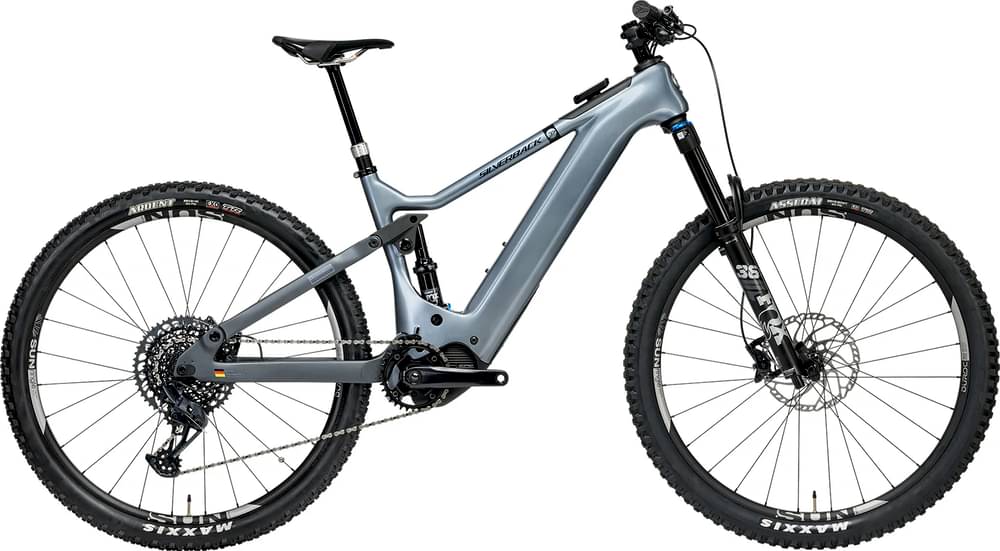 SILVERBACK S-ELECTRO PRO CF 2 2024 - Test, Avis et Prix