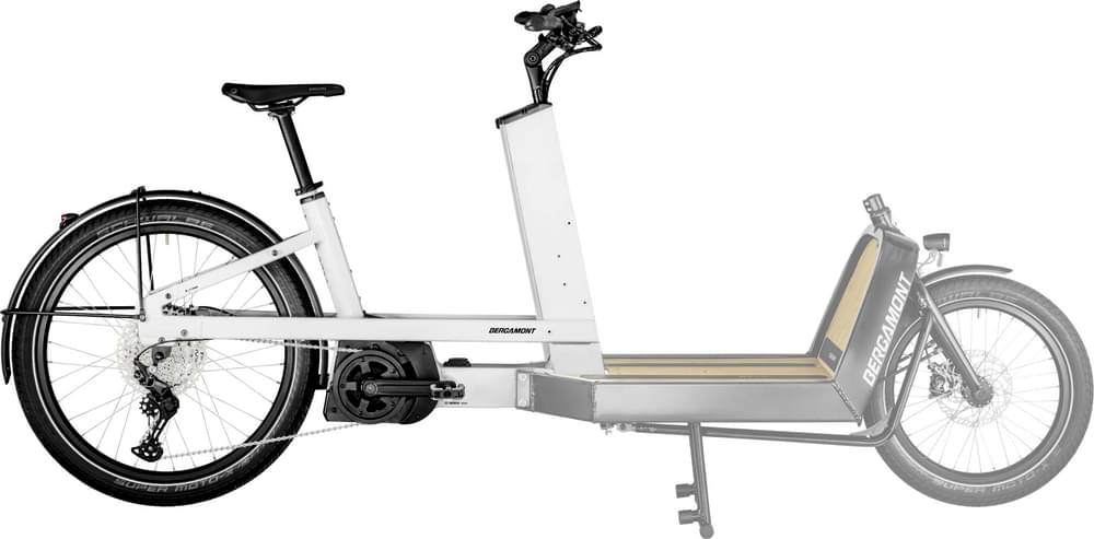 BERGAMONT E-CARGOVILLE LJ EDITION 2024 - Review, Test & Price