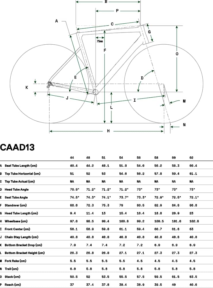 CANNONDALE CAAD13 DISC 105 2024 - Test, Gewicht & Review