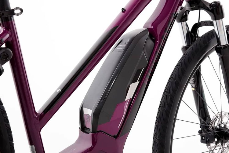 RIDGEBACK X2 OPEN FRAME 2024 - Review, Test & Price