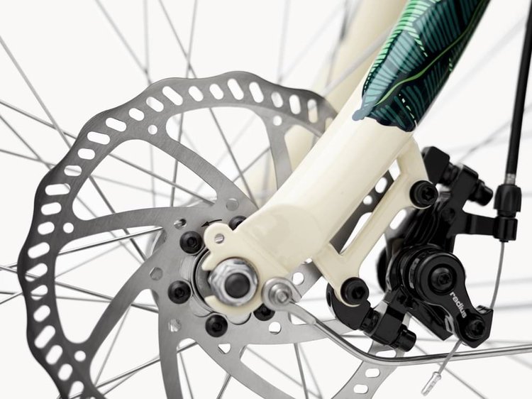 ELECTRA BALI CRUISER GO! 2024 - Test, Recensioni e Prezzo