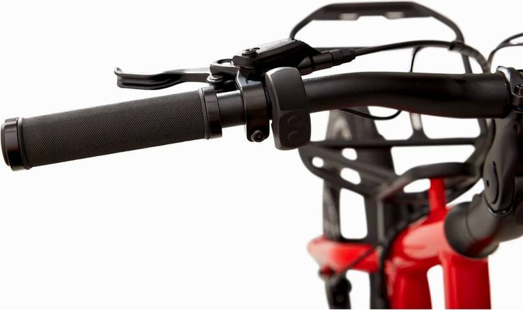 RIDGEBACK ERRAND 2024 - Review, Specs & Price