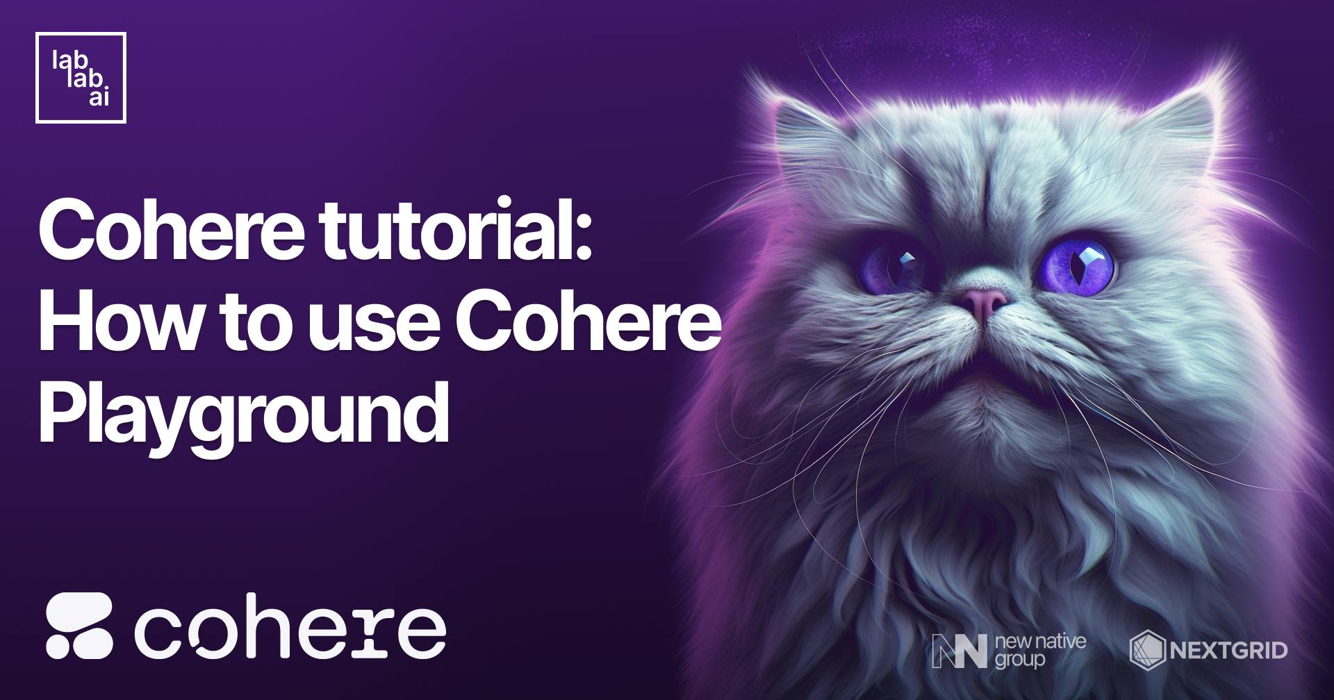 Cohere tutorial: How to use Cohere Playground tutorial