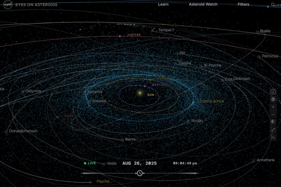 Animating Data Visualizations: An Expert Guide