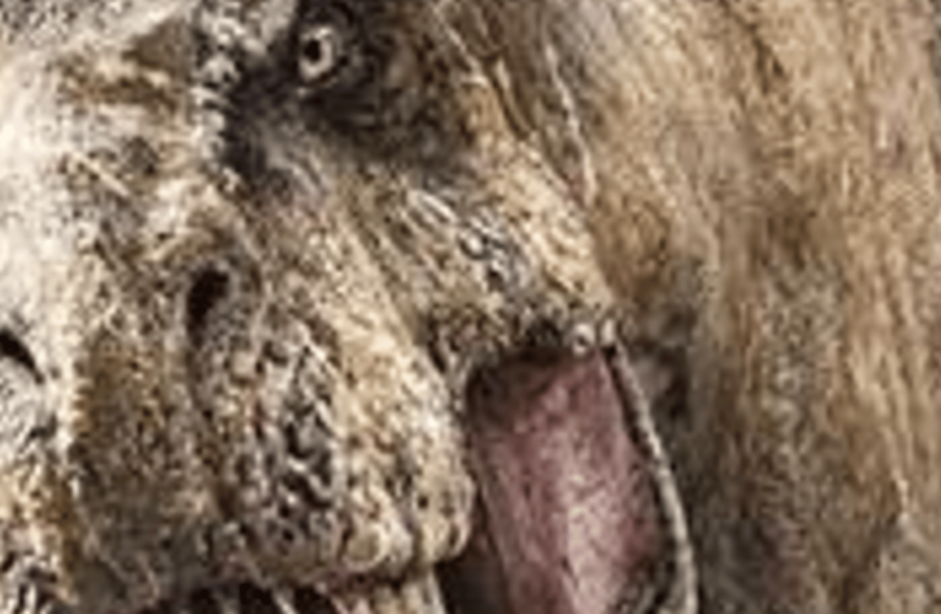 Rexy the T-Rex | Dopple.ai