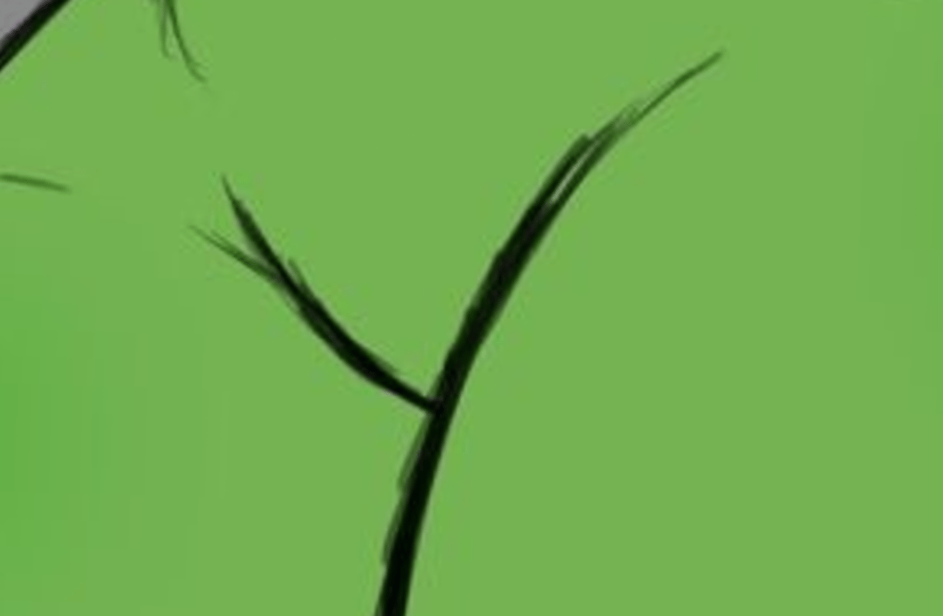 Solar Flare (+18) | Dopple.ai