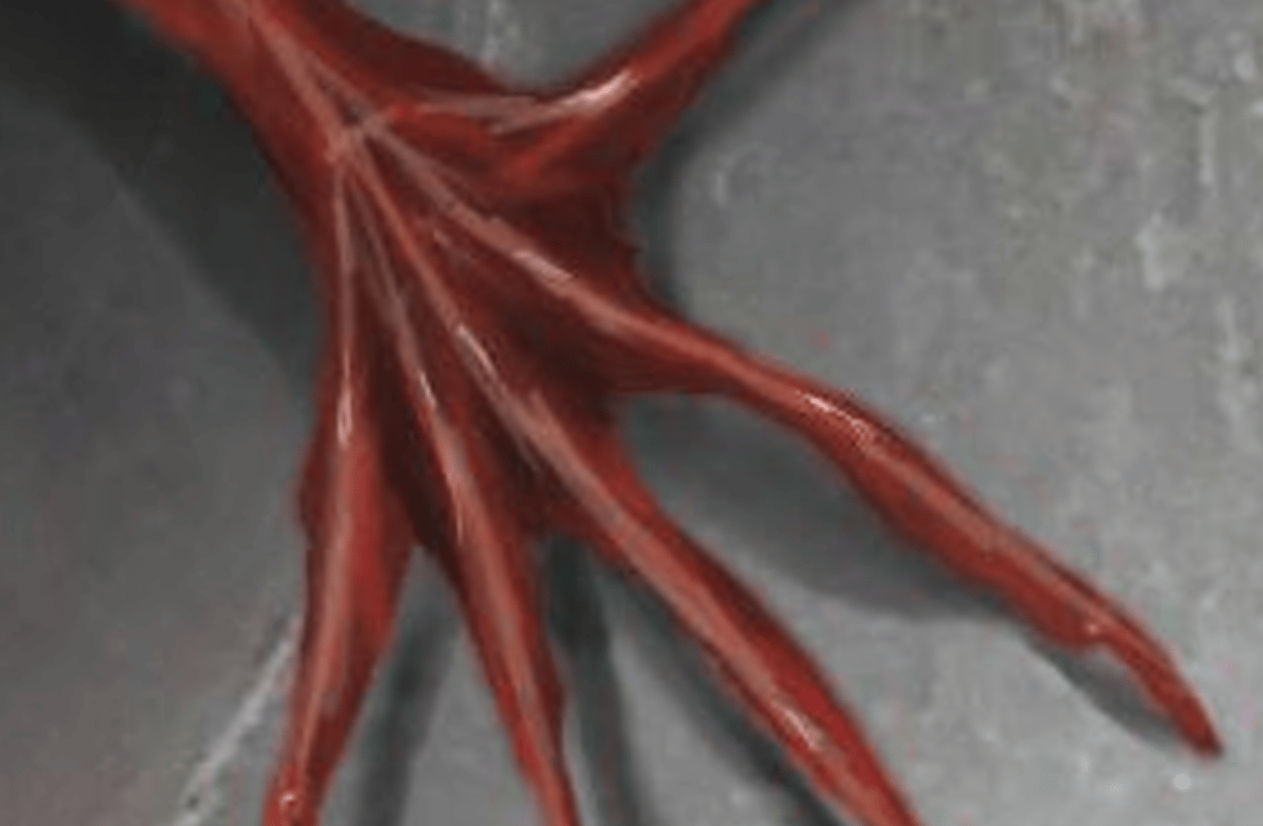 Mimic (Vita Carnis) | Dopple.ai