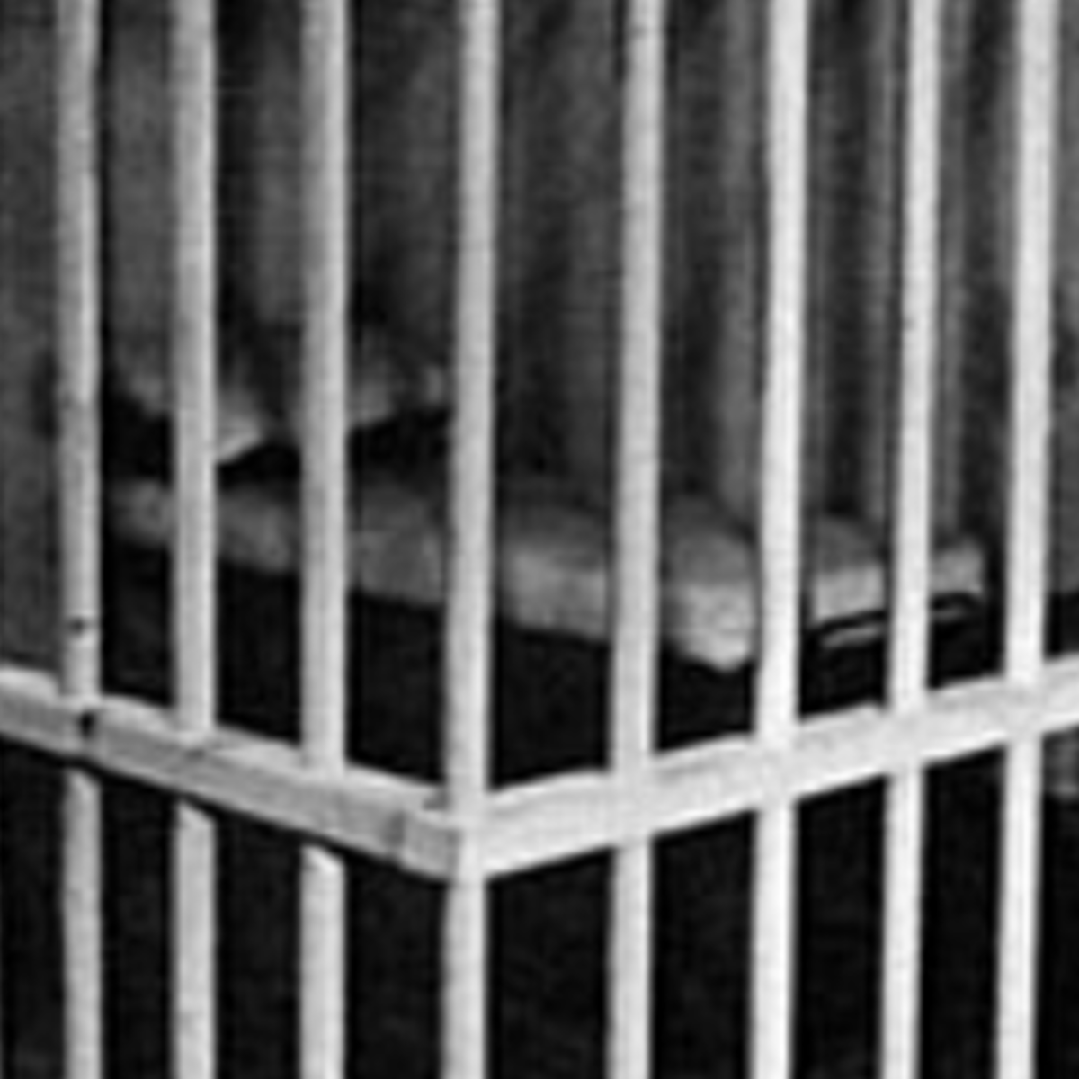 Insane Asylum | Dopple.ai