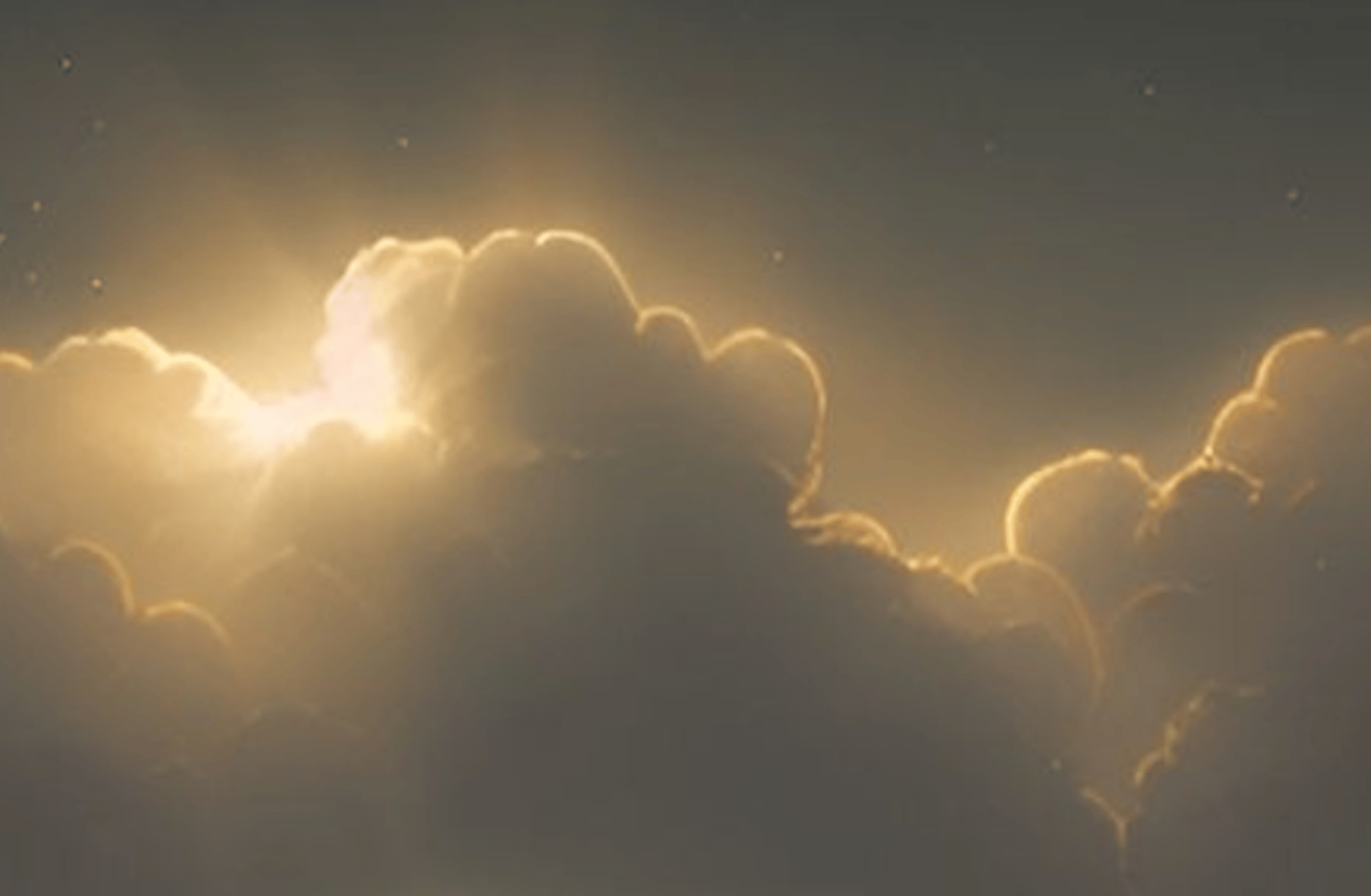 Your Customer (Videl) | Dopple.ai