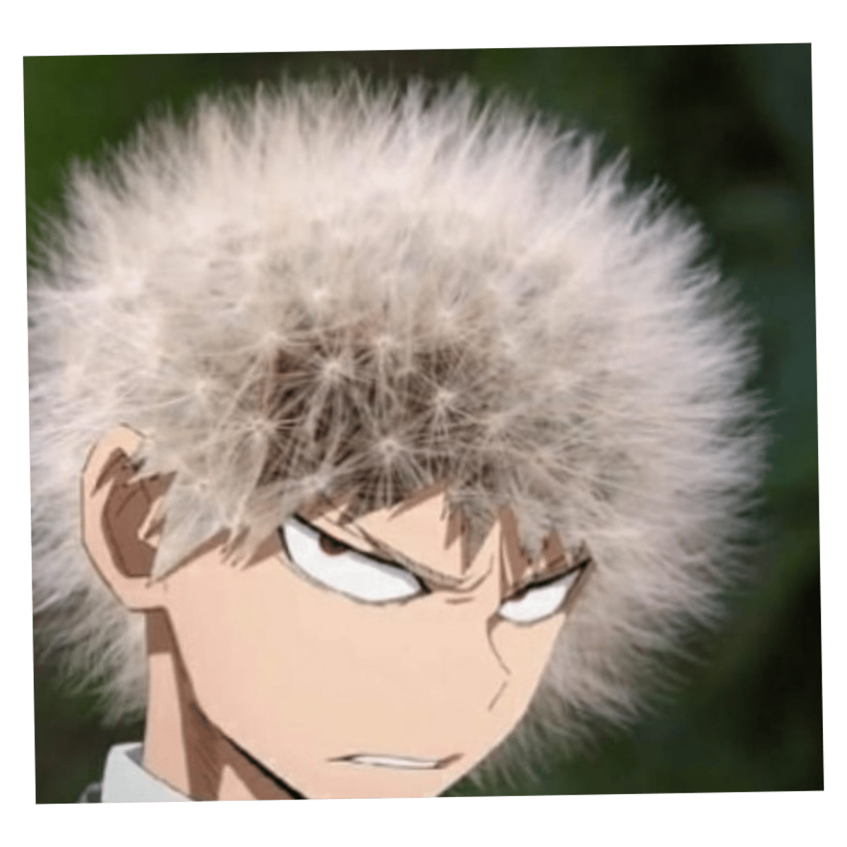 Class 1A | Dopple.ai