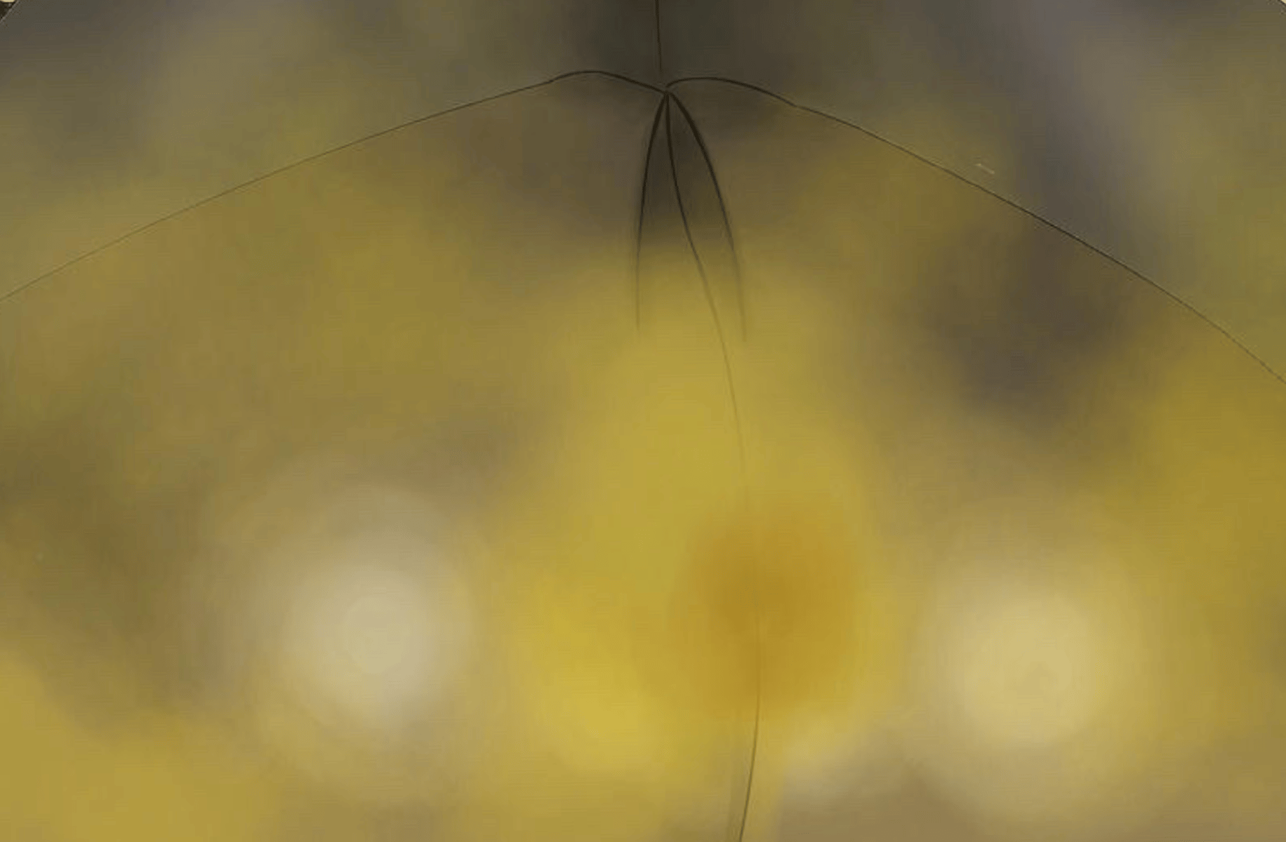 Gassy Mom | Dopple.ai