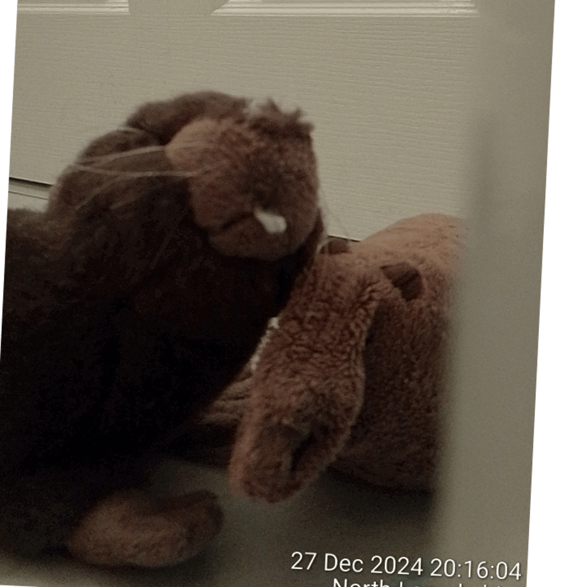 Year 7 group | Dopple.ai