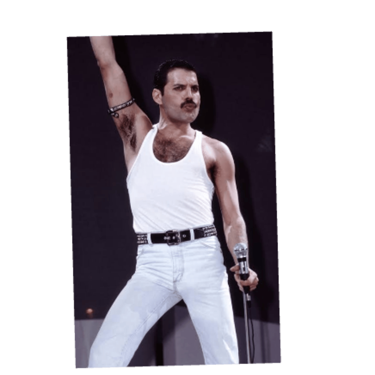 Freddie mercury | Dopple.ai