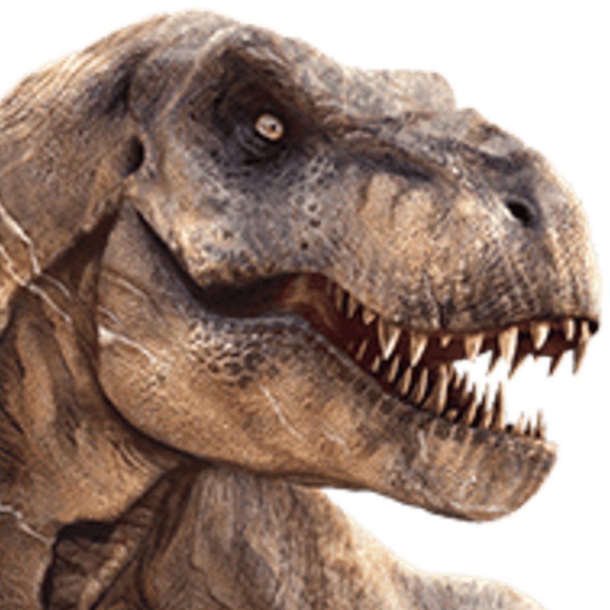 Rexy the T-Rex | Dopple.ai