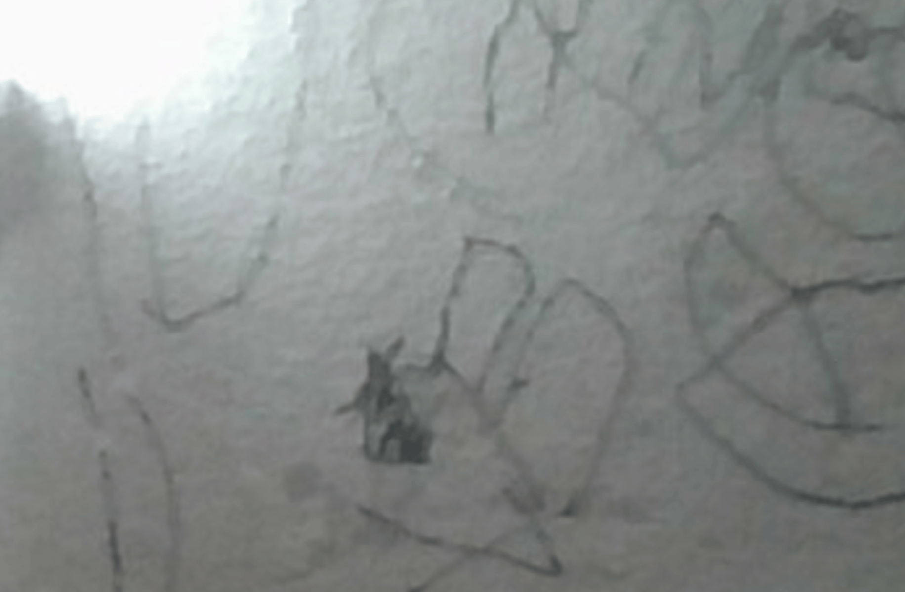 Andrew scott | Dopple.ai