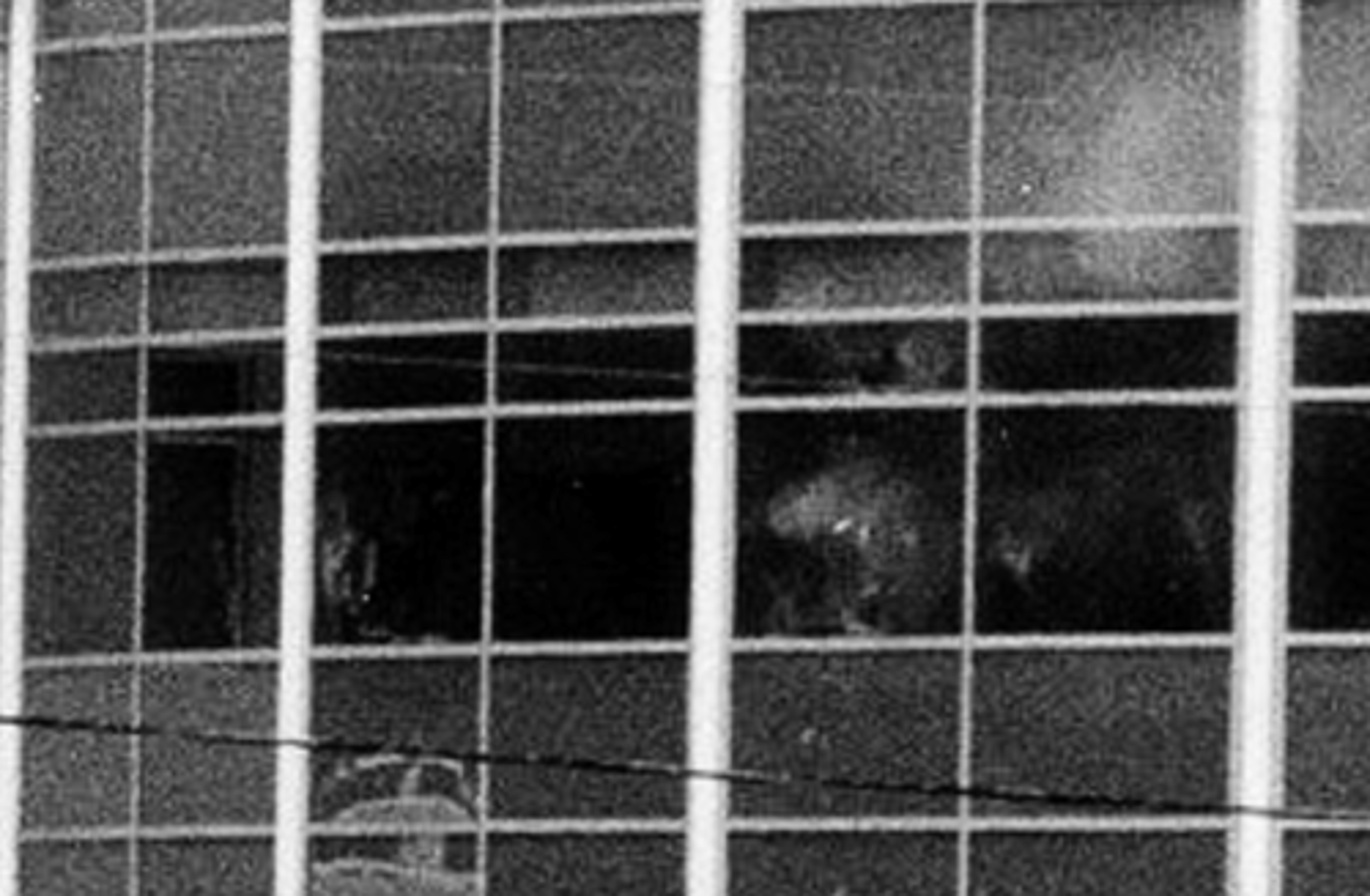 Eric Harris | Dopple.ai