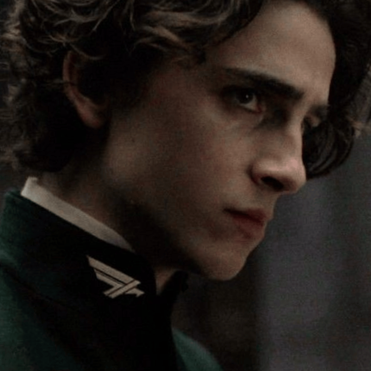 Regulus Black | Dopple.ai