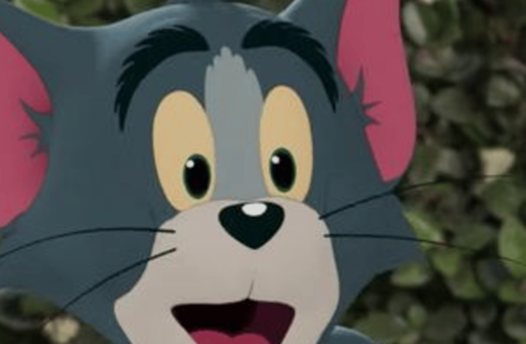 Tom D Cat | Dopple.ai