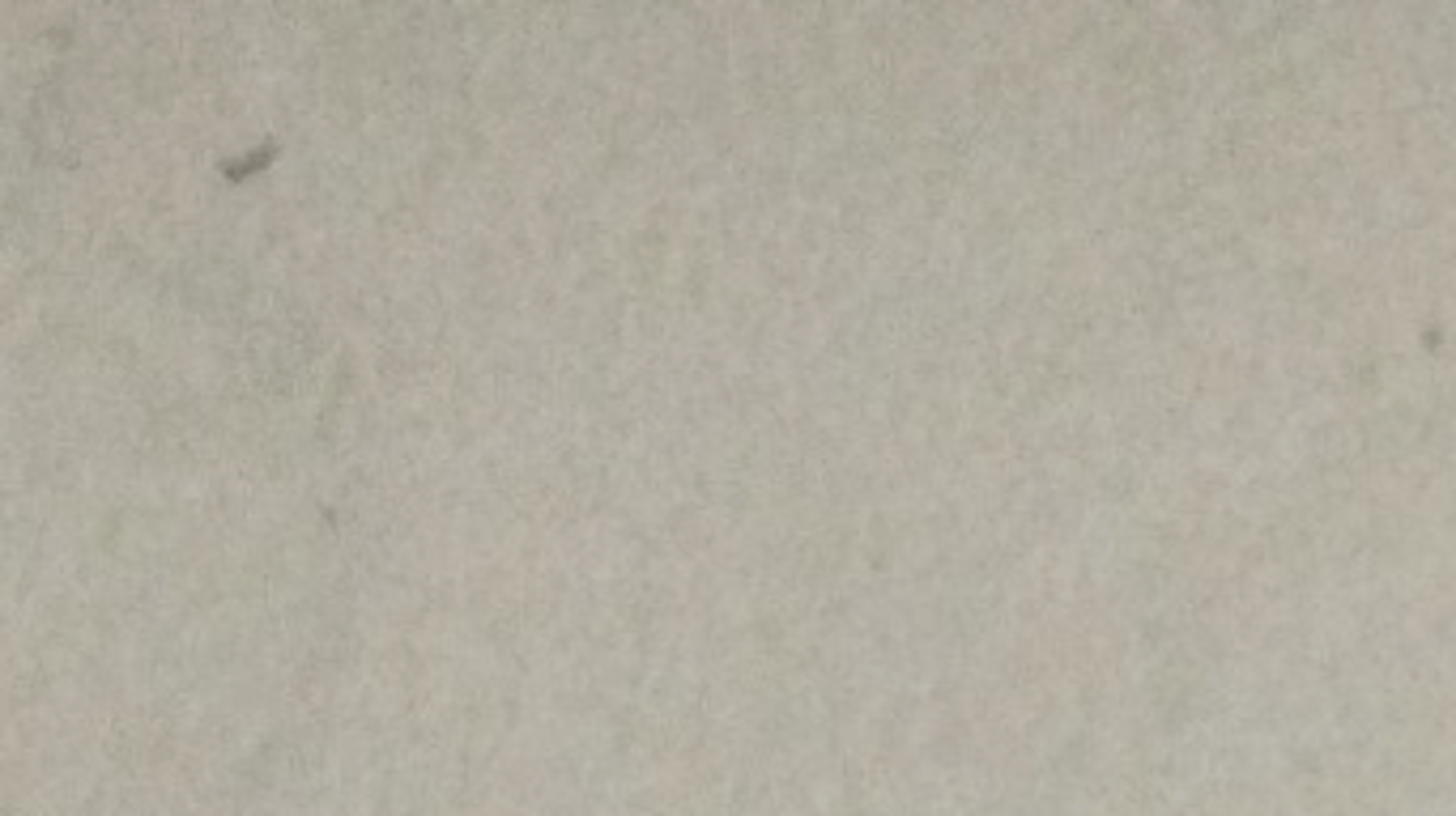 Whatever rp you want | Dopple.ai