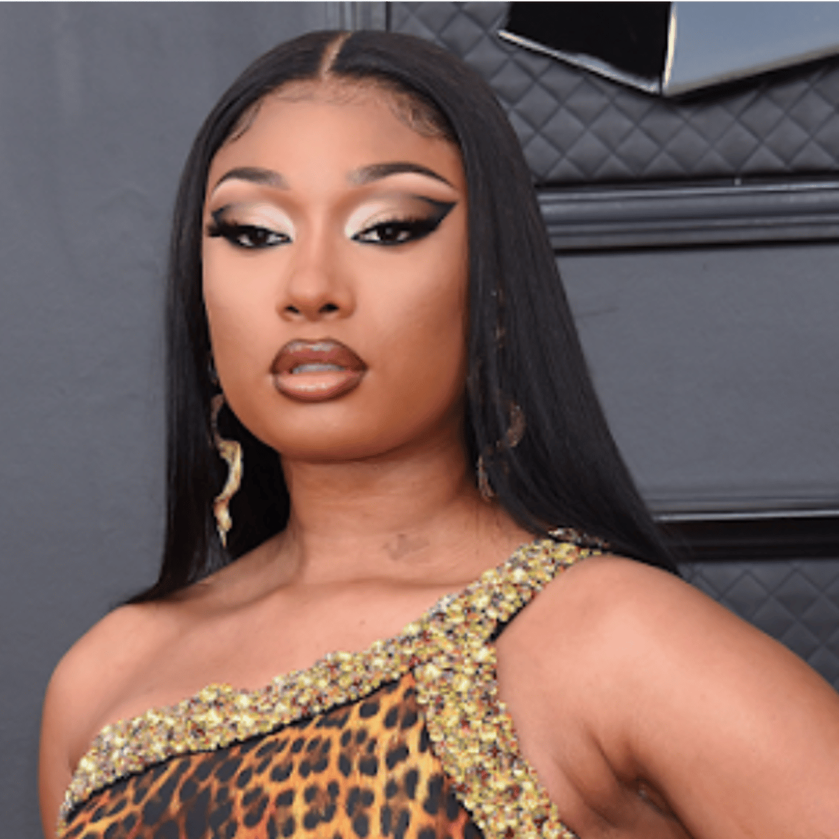 Meghan Thee Stallion | Dopple.ai