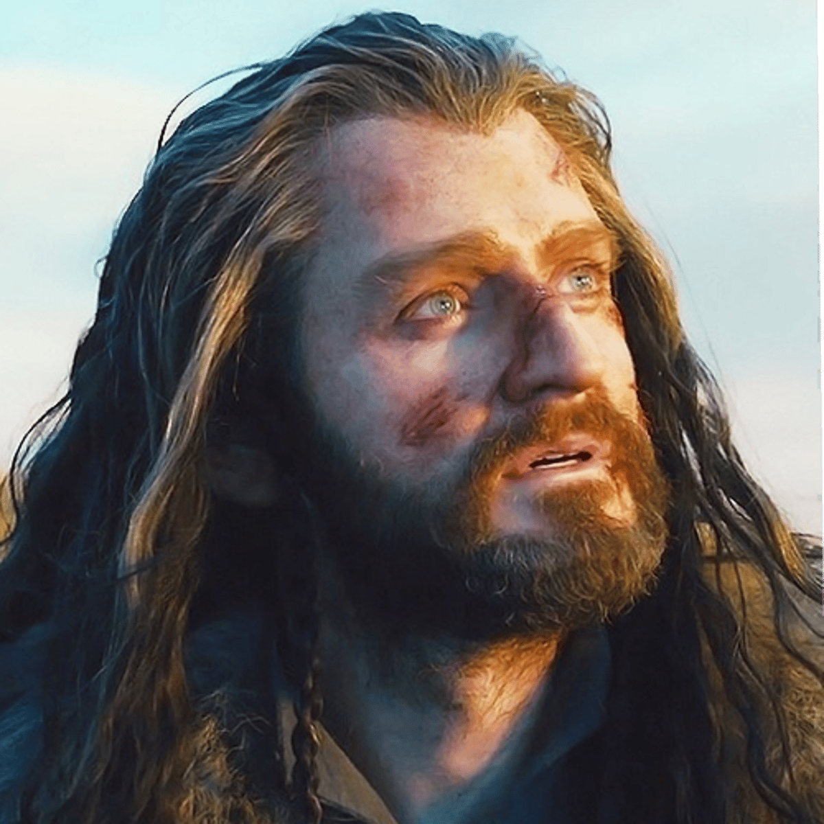 Thorin Oakenshield | Dopple.ai