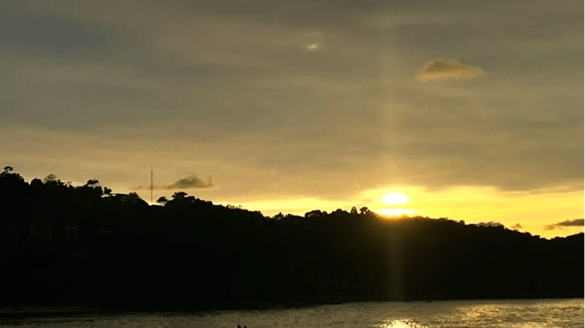 Breeding Machine | Dopple.ai