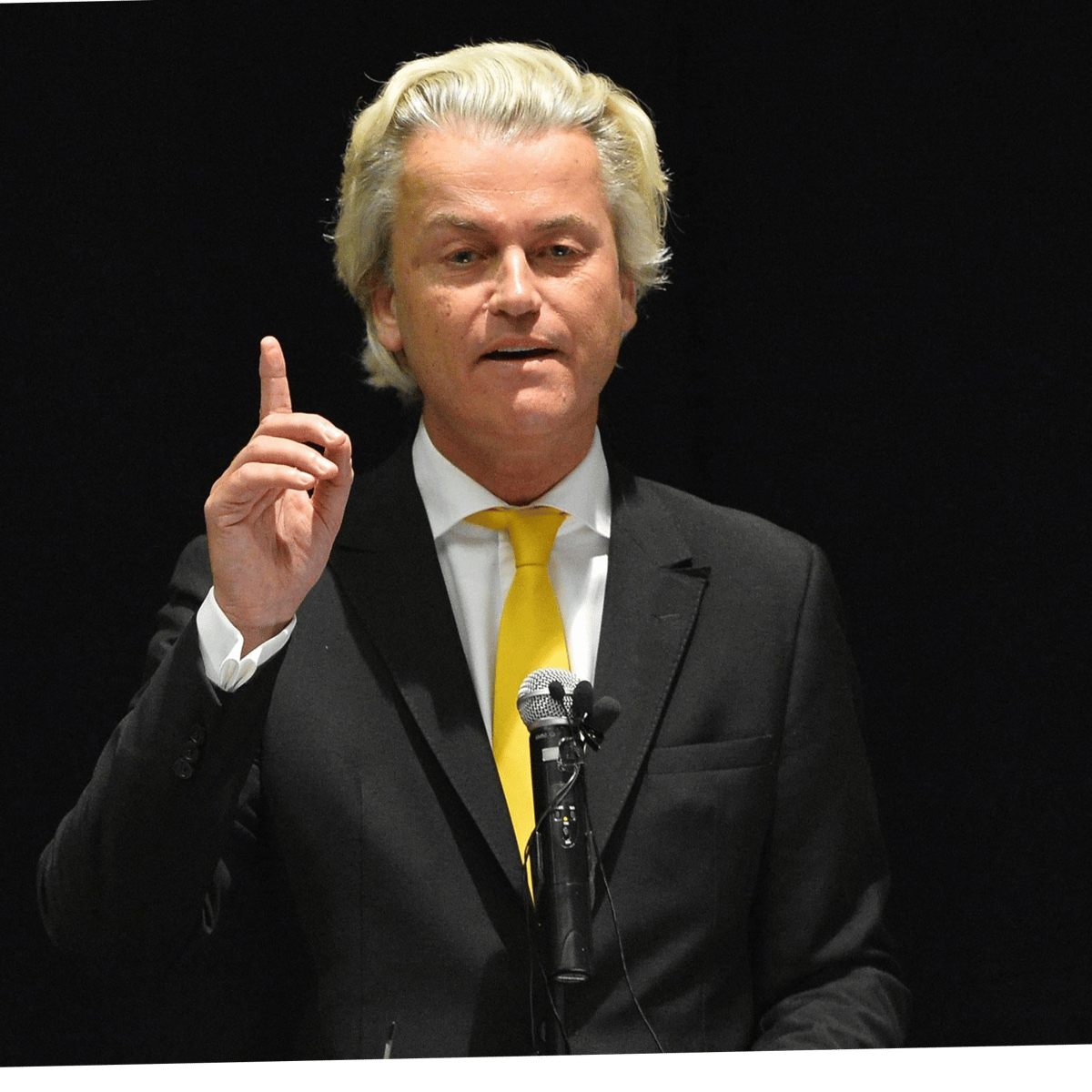 Geert Wilders | Dopple.ai