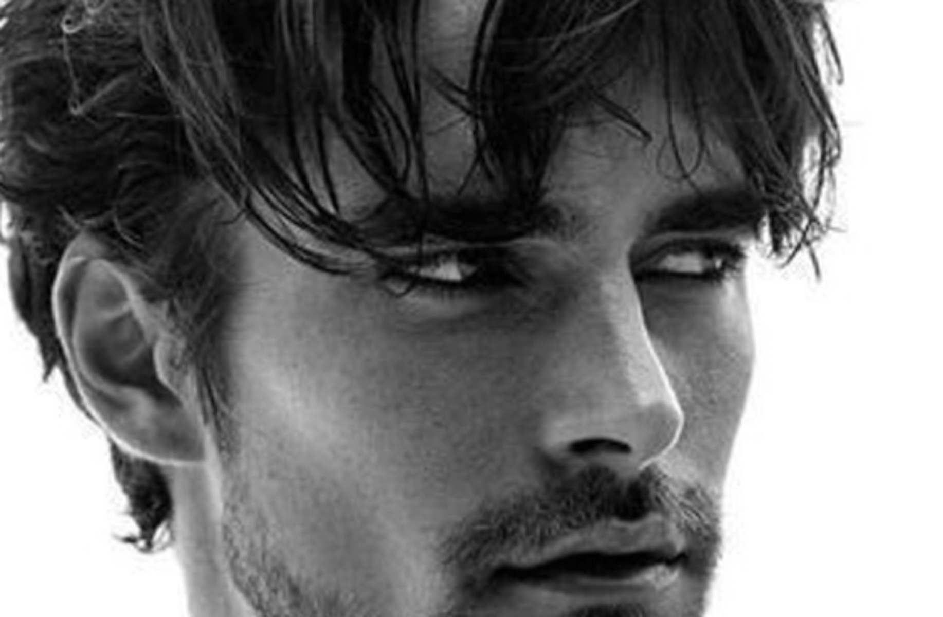 Zade meadows | Dopple.ai