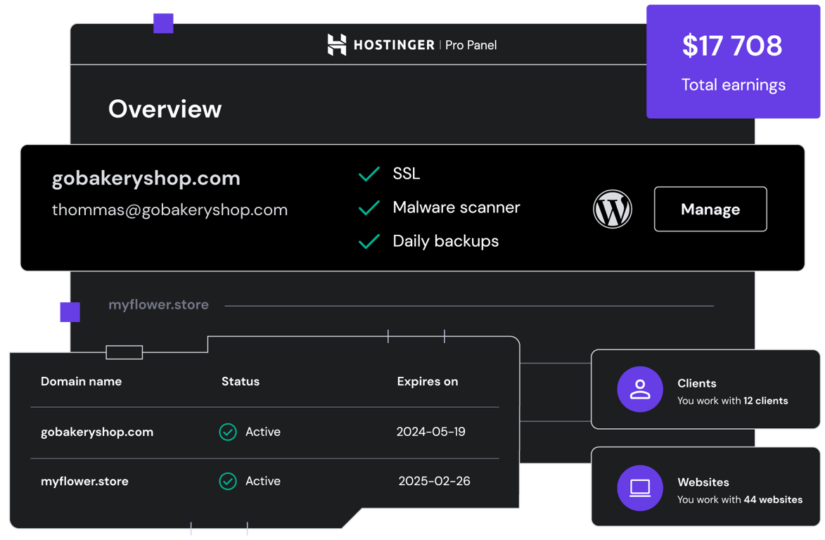 Hostinger Pro – Hosting for Agencies and Professionals