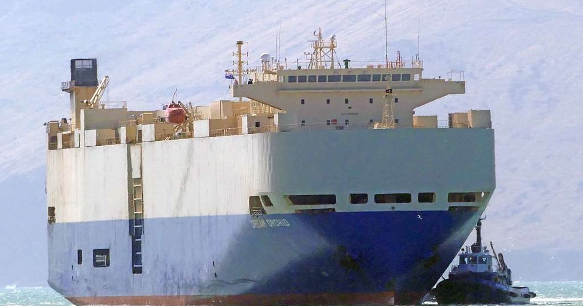 Car Carrier Ordering Slows as Overcapacity Risks Rise – Maritime Bell