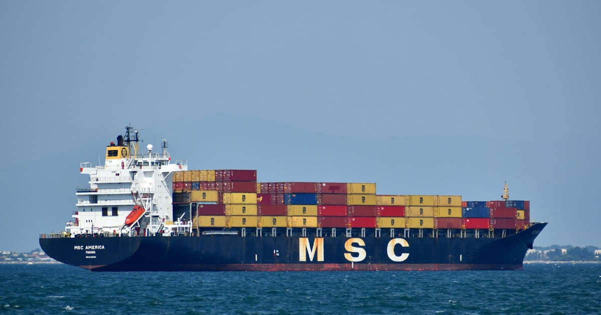 Shipping Lines Announce New Alliances & Agreements for 2025 – Maritime Bell